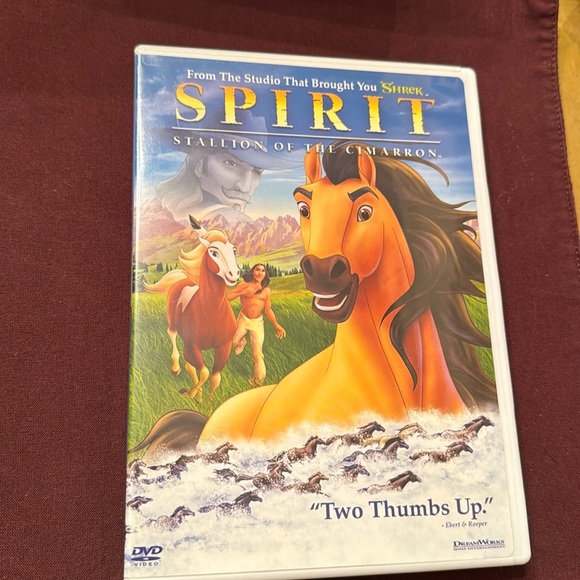 Dreamworks | Other | Spirit Dvd | Poshmark
